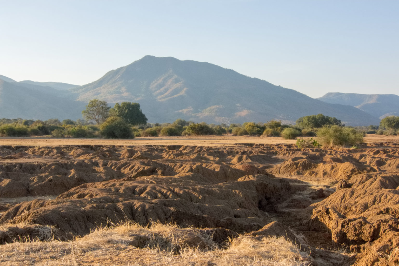 Zambia orders halt to work on copper mine in Lower Zambezi park ...