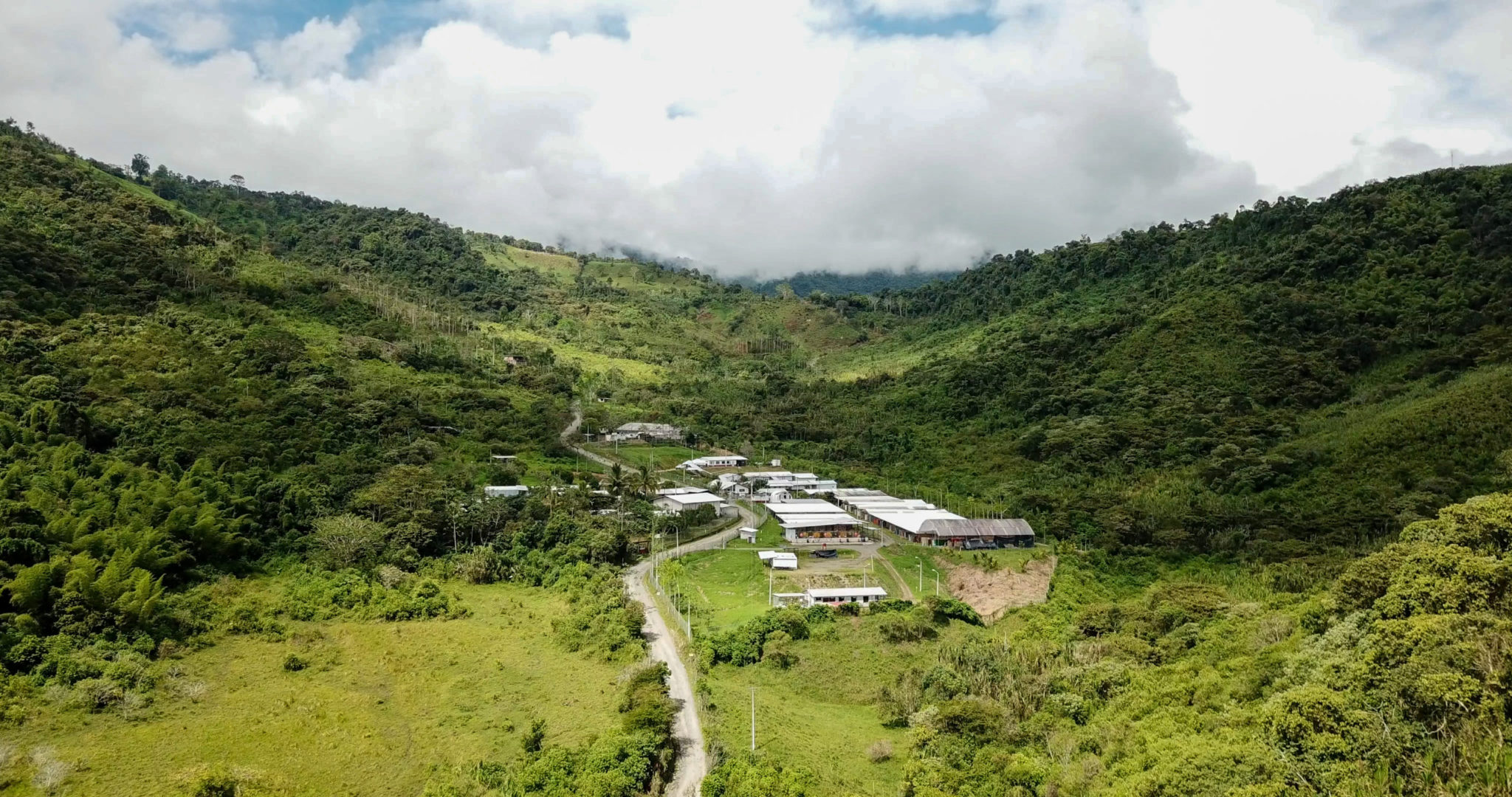 Ecuador, Colombia and Peru Snapshot: Eight companies pursuing copper ...