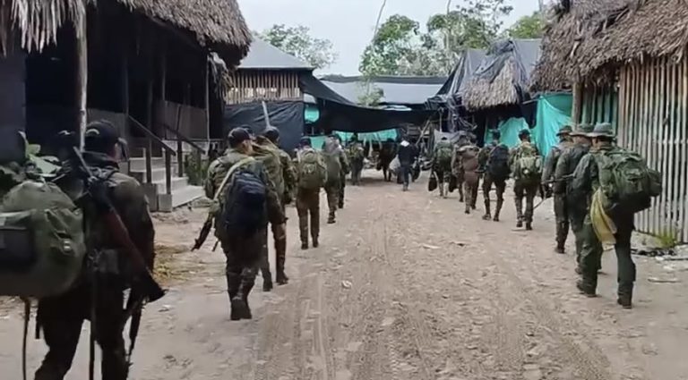Venezuela deploys 5,000 soldiers in national parks to deal with illegal ...