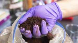 China’s grip on rare earths undercuts projects from US to Japan ...