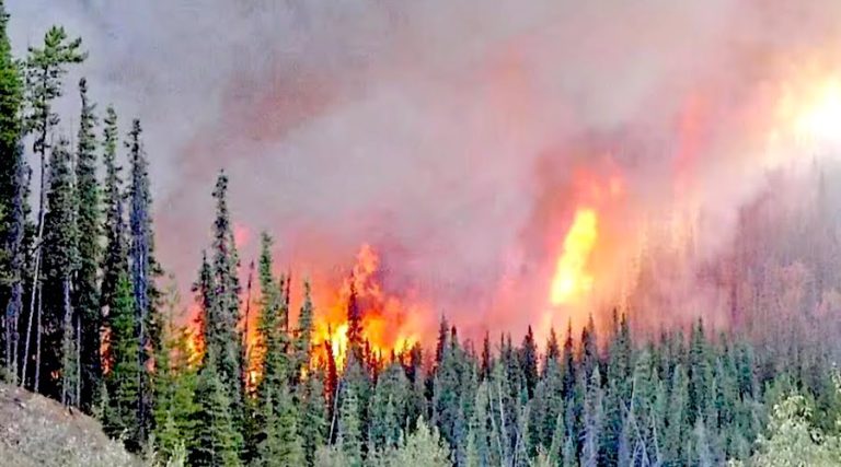 Wildfires force miners in Quebec and Labrador to halt work - MINING.COM