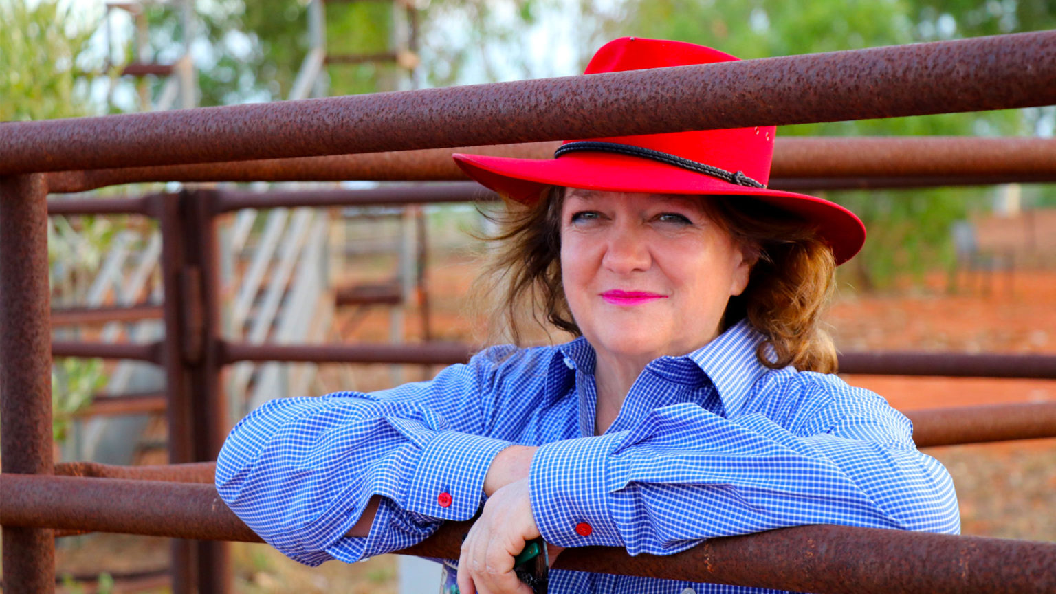 Gina Rinehart becomes MP Materials’ top shareholder - MINING.COM