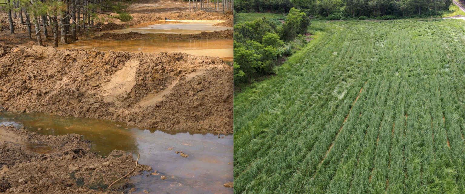From wasteland to wetland: Restoring Tennessee's Copper Basin mining ...