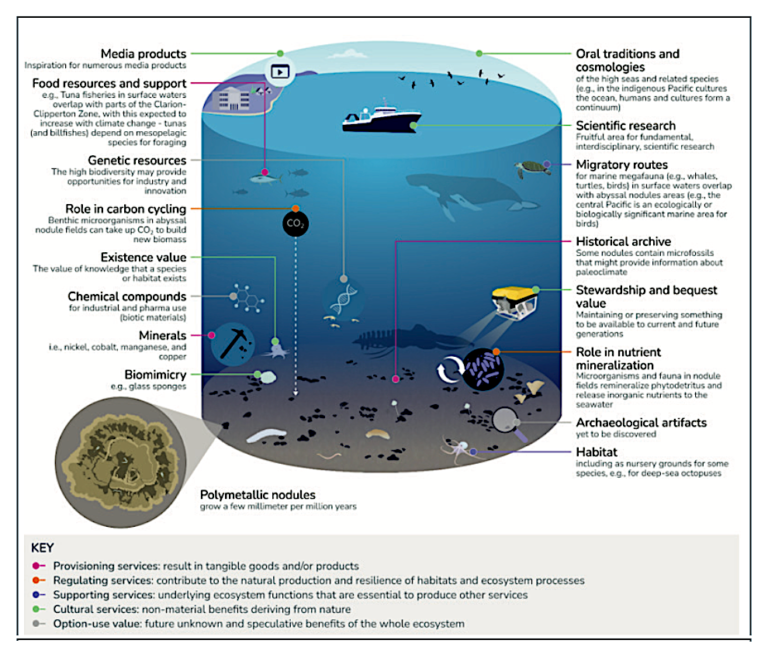 Deep-sea mining could cost $500bn in lost value — study - MINING.COM