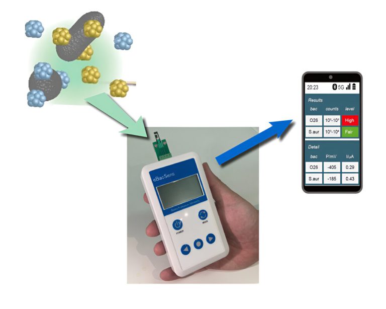 Gold, copper-infused device quickly detects bacteria responsible for ...