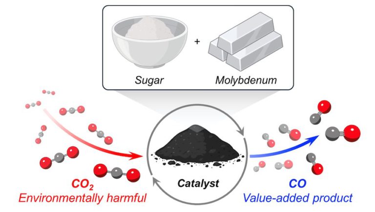Molybdenum-sugar-based catalyst effectively destroys CO2 - MINING.COM