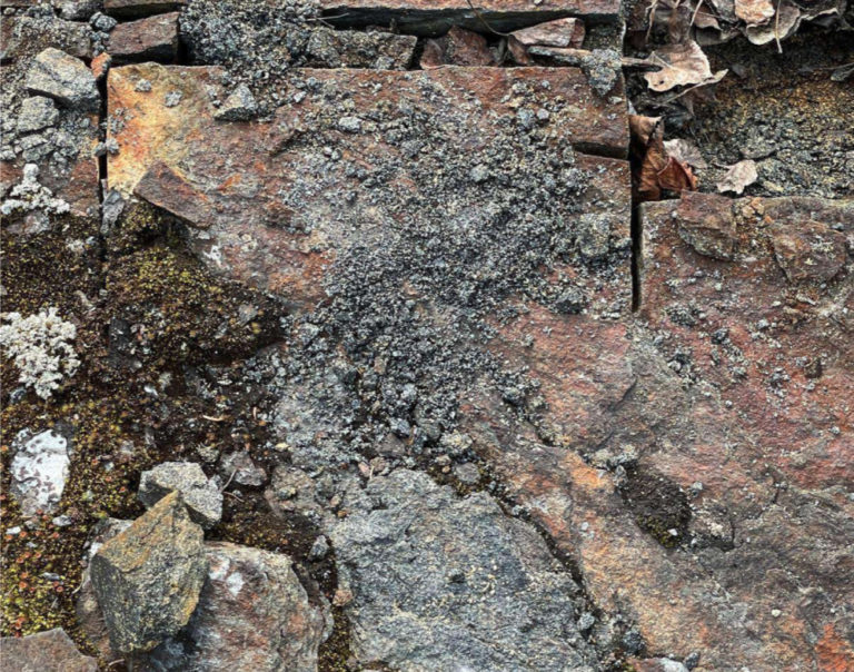 Canada adds high-purity iron, phosphorus, silicon metal to critical ...