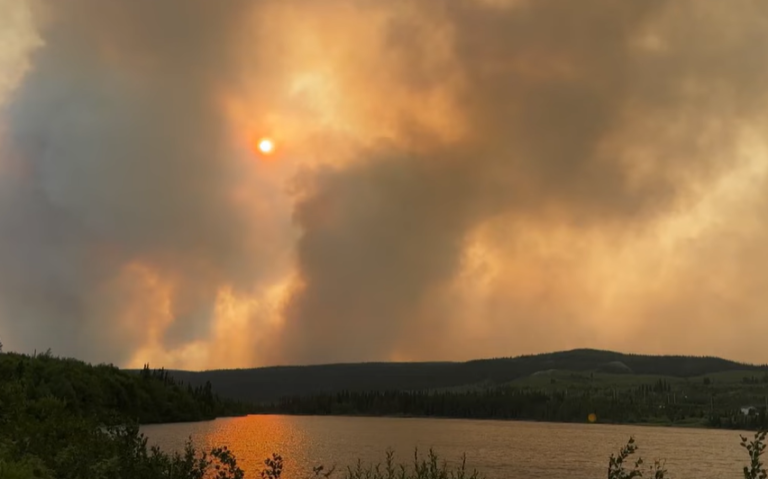 Champion Iron halts operational activities at Bloom Lake amid forest ...