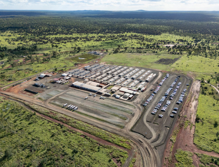 QCoal says workers sent home after death at coking coal mine - MINING.COM