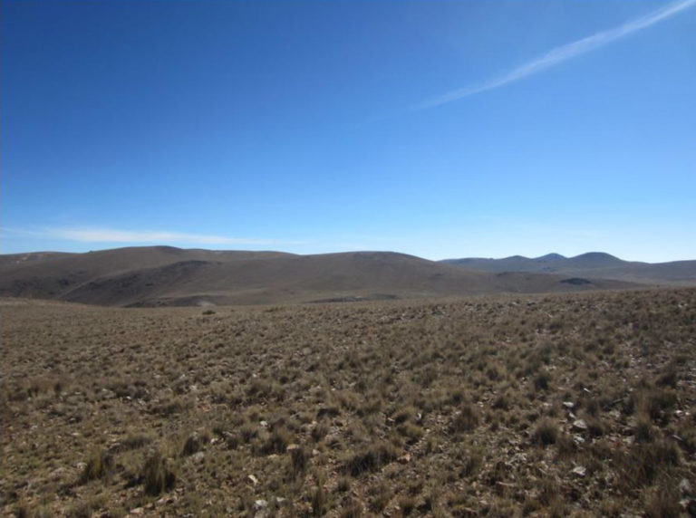 Peru-focused juniors Copper Standard, Pucara Gold to merge - MINING.COM