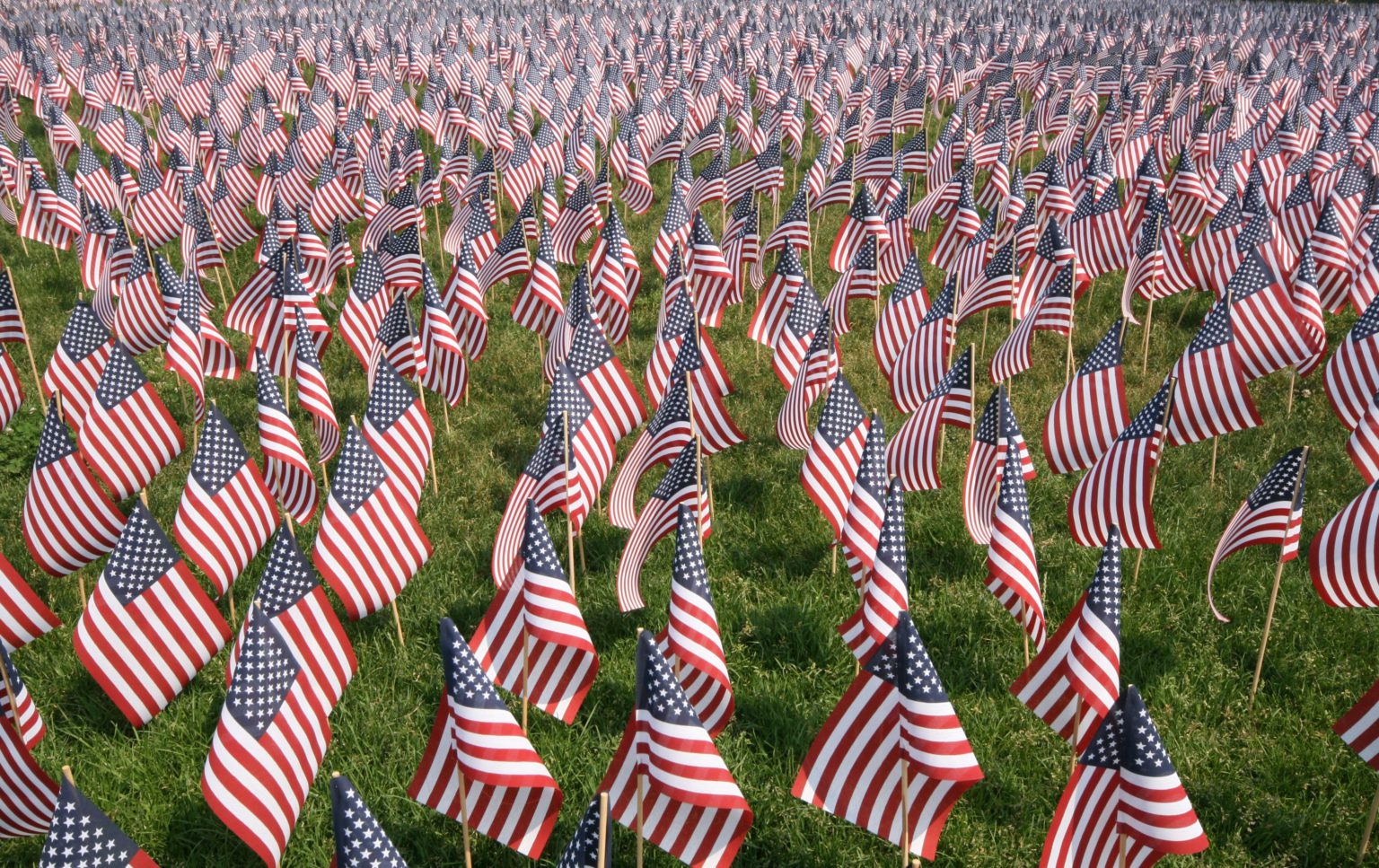 Patriotism shown by a field of planted American Flags - MINING.COM
