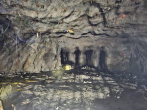 Firefly glows on Newfoundland copper project resource surge - MINING.COM