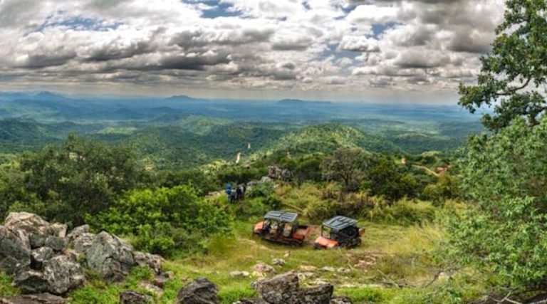 Wheaton strikes $175m deal for Ethiopia's first gold mine - MINING.COM