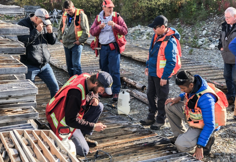 Amarc stock doubles on gold-copper discovery at JOY project in British ...