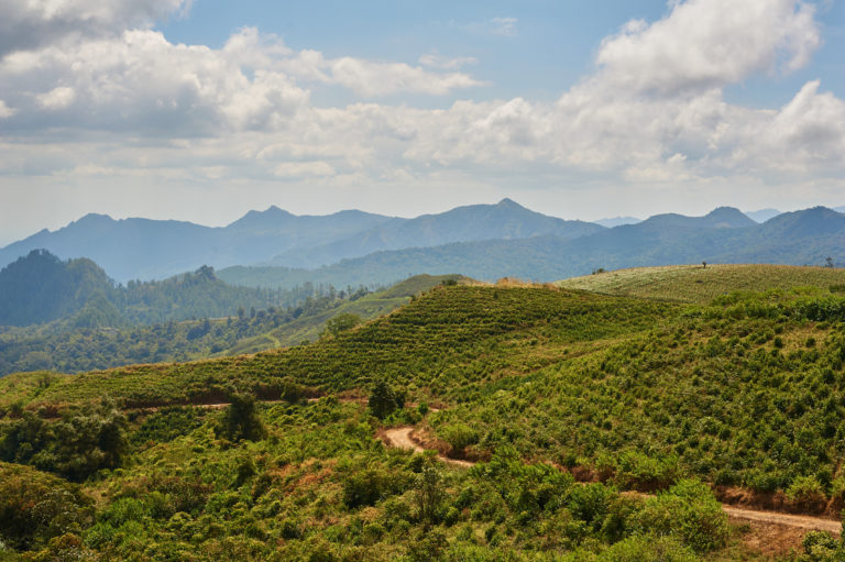 Indonesia sets rules to fine miners operating in forest areas - MINING.COM