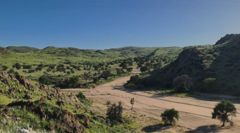 SQM expands into Africa with Namibian lithium deal - MINING.COM