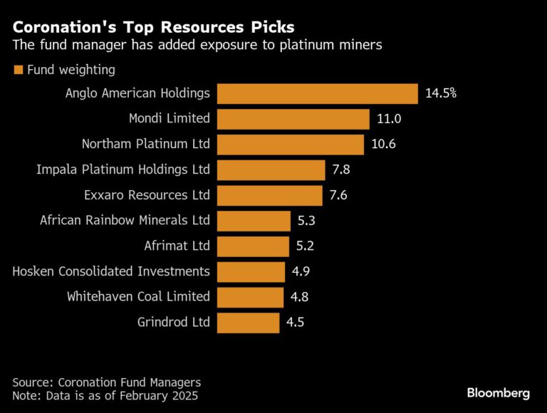 Fund manager takes new look at platinum stocks as EV sales slow ...