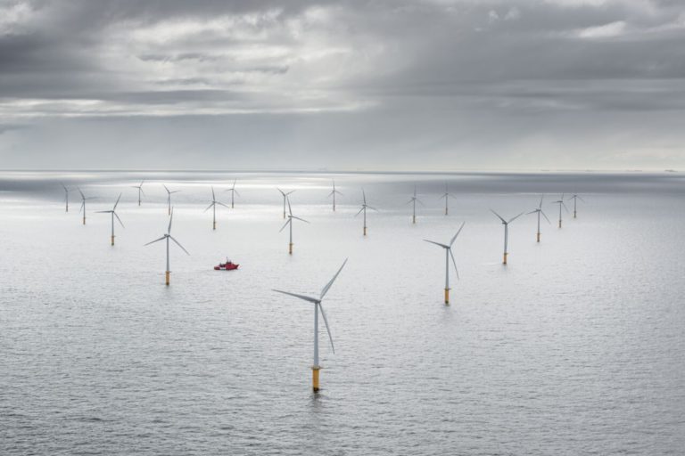 New Zealand seabed mining poses unprecedented challenge for offshore ...