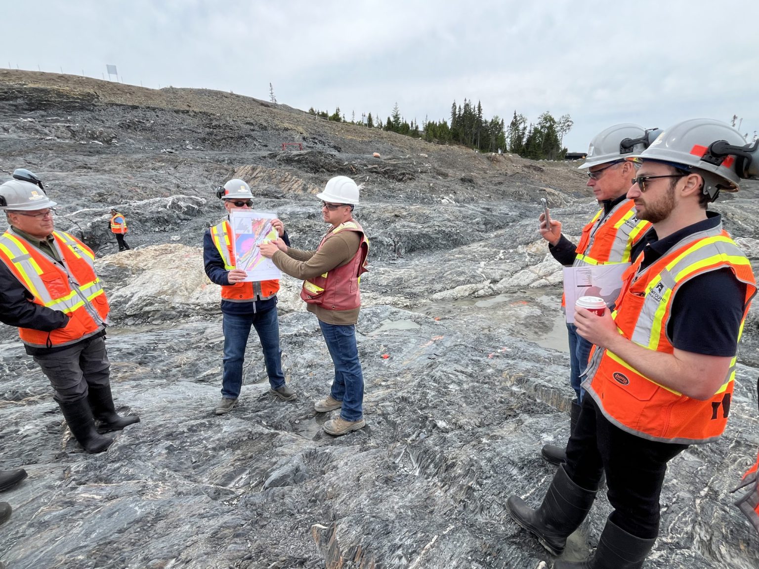 New Found Gold posts high-return economics - MINING.COM