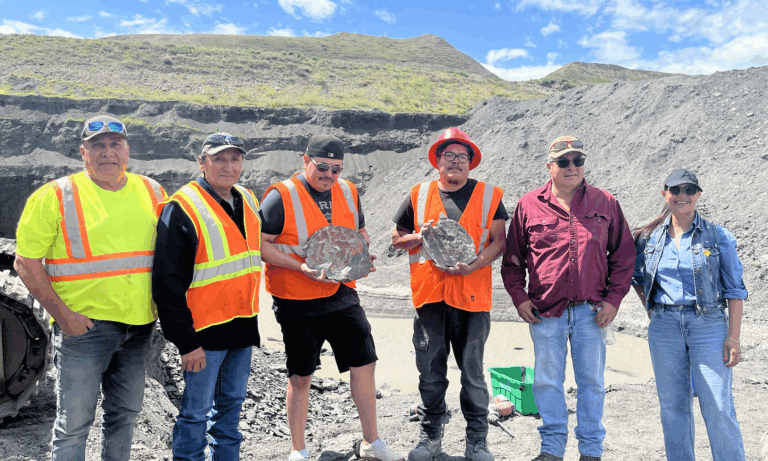 Buffalo Rock mine group - MINING.COM