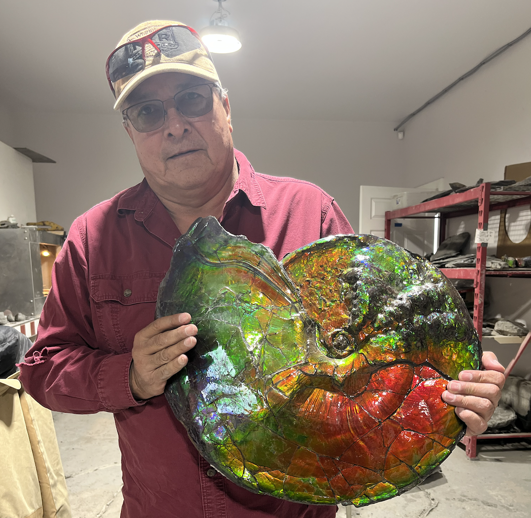 Tracy Day Chief - MINING.COM