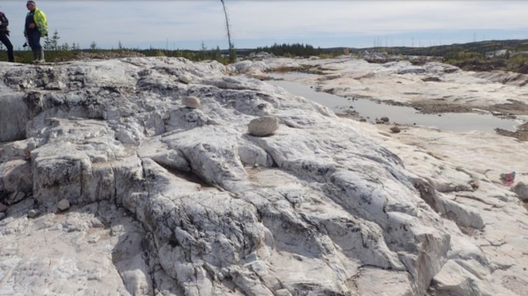Ontario fast-tracks Frontier Lithium’s PAK project - MINING.COM