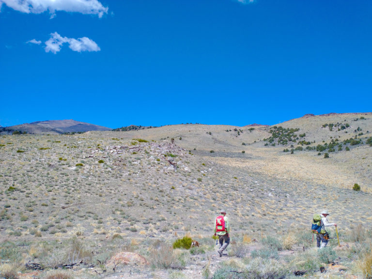 Newmont-funded Nevada gold project selected for FAST-41 permitting ...