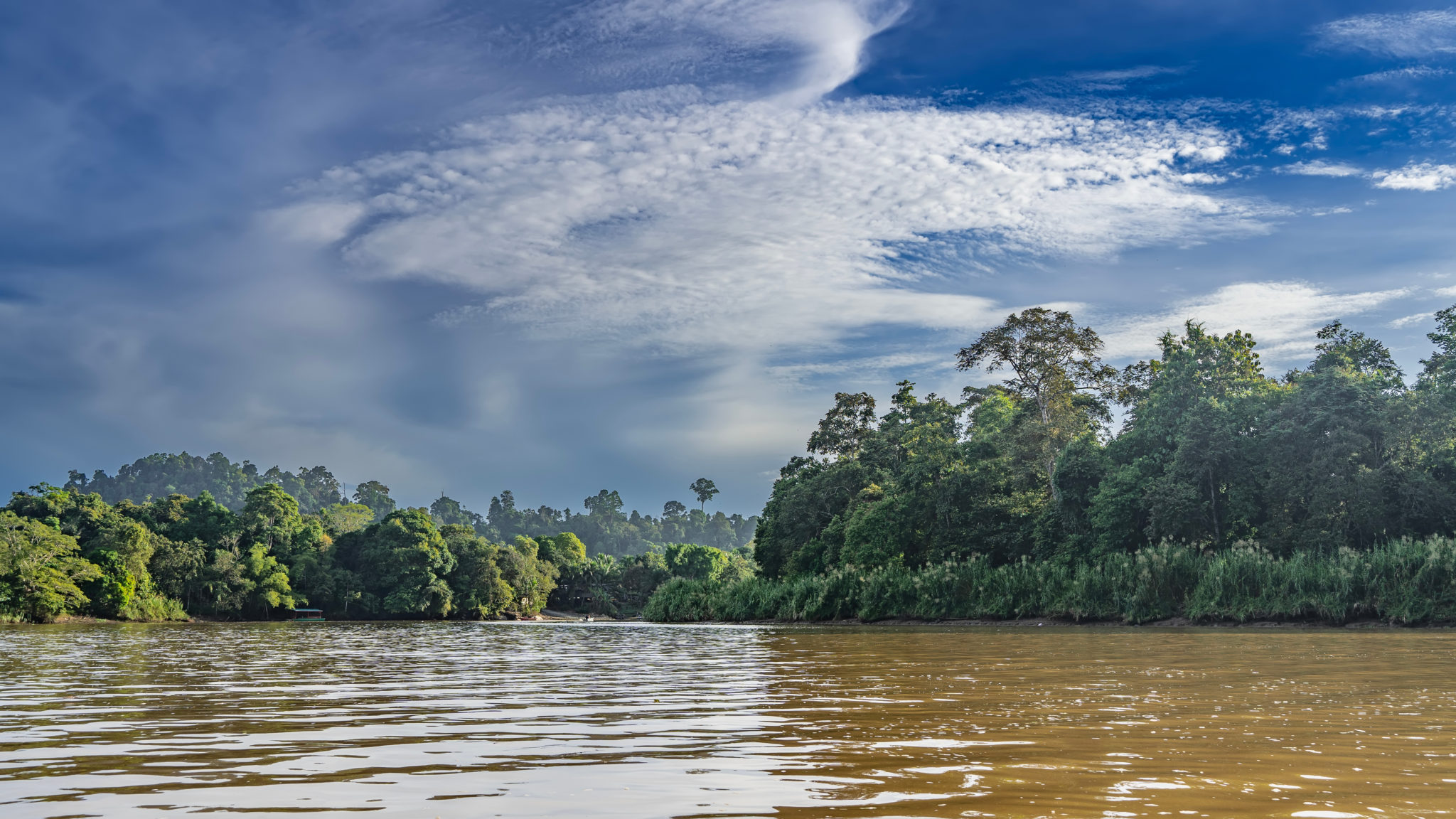 Malaysia suspends rare earth, tin mining operations after river water ...