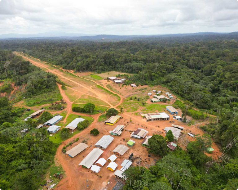 Gold Fields pays $36M for 12% of Founders Metals - MINING.COM