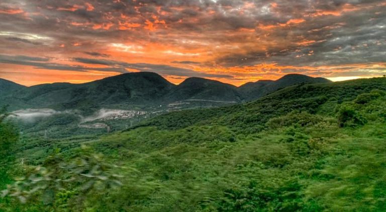 Torex finds new high-grade gold zones near Media Luna - MINING.COM