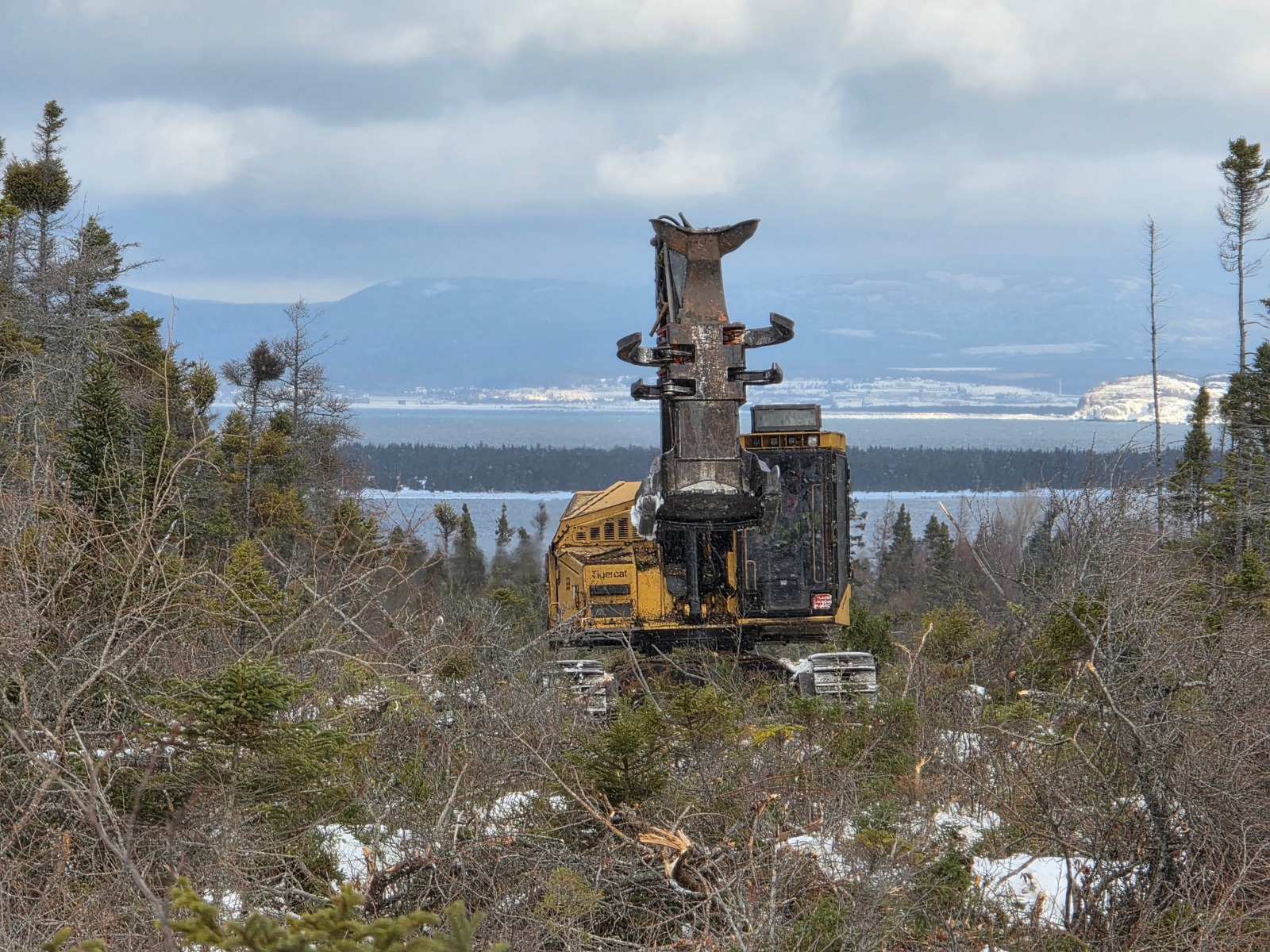 Atlas Salt Commences Site Preparation Activities - MINING.COM