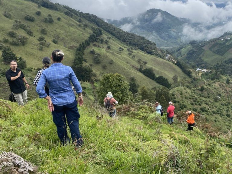 Royal Road eyes underground mine as Colombia drilling resumes - MINING.COM
