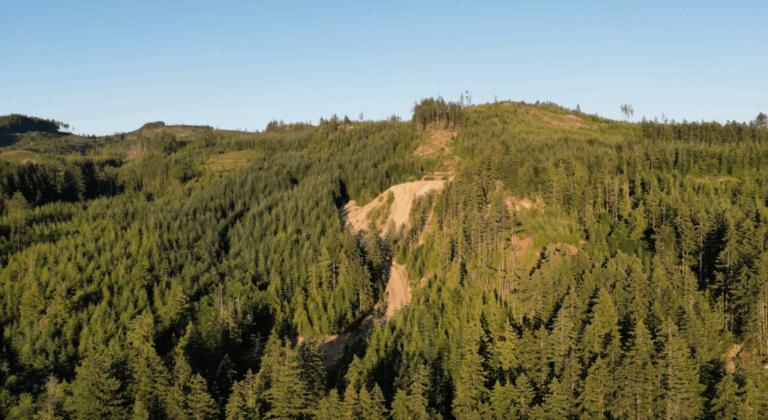 Sasquatch Resources eyes Mount Sicker waste rock to unlock gold and ...