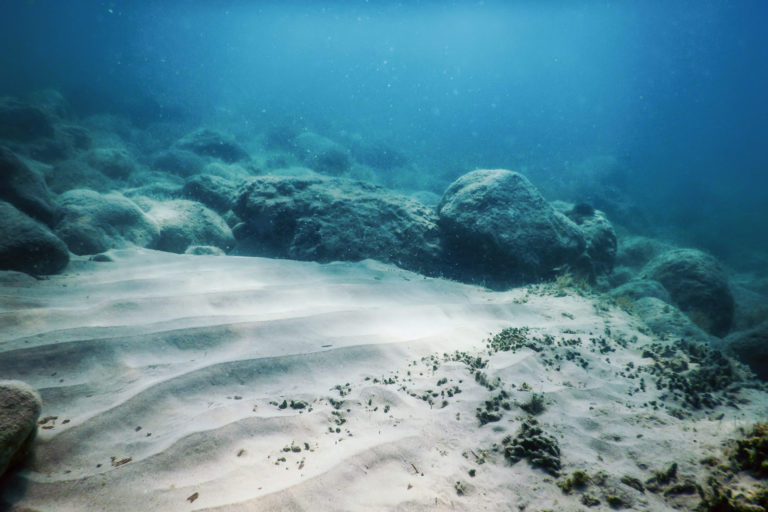 Deep-sea mining debate reaches critical global moment - MINING.COM