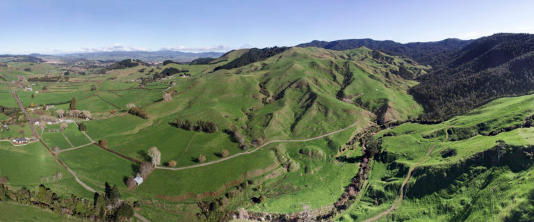 OceanaGold finds high-grade gold in New Zealand - MINING.COM