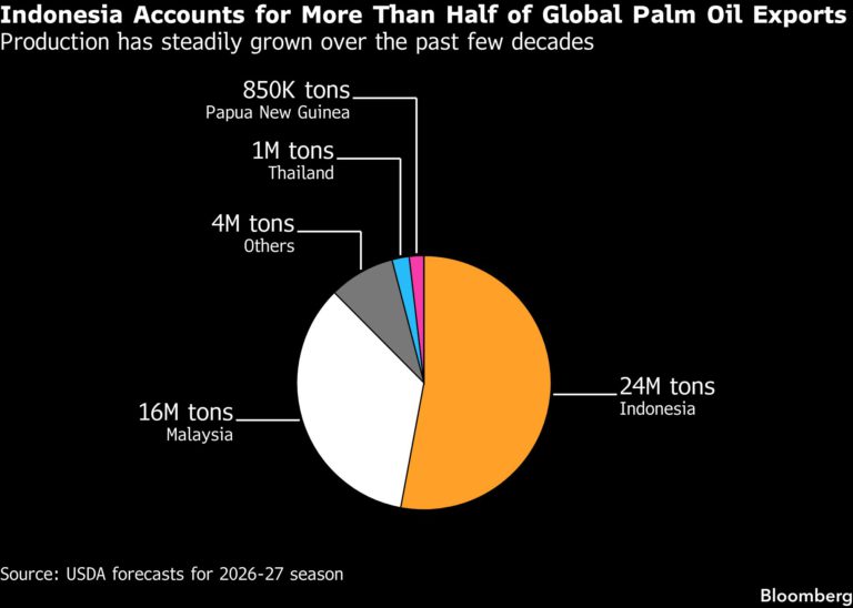 Indonesia Accounts for More Than Half of Global Palm Oil Exports ...