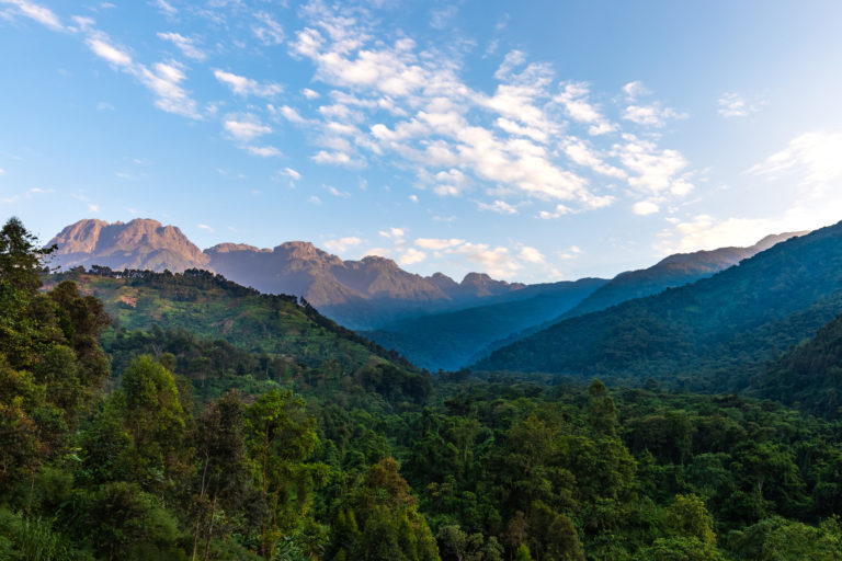 Congo suspends mining activities in parts of South Kivu province ...