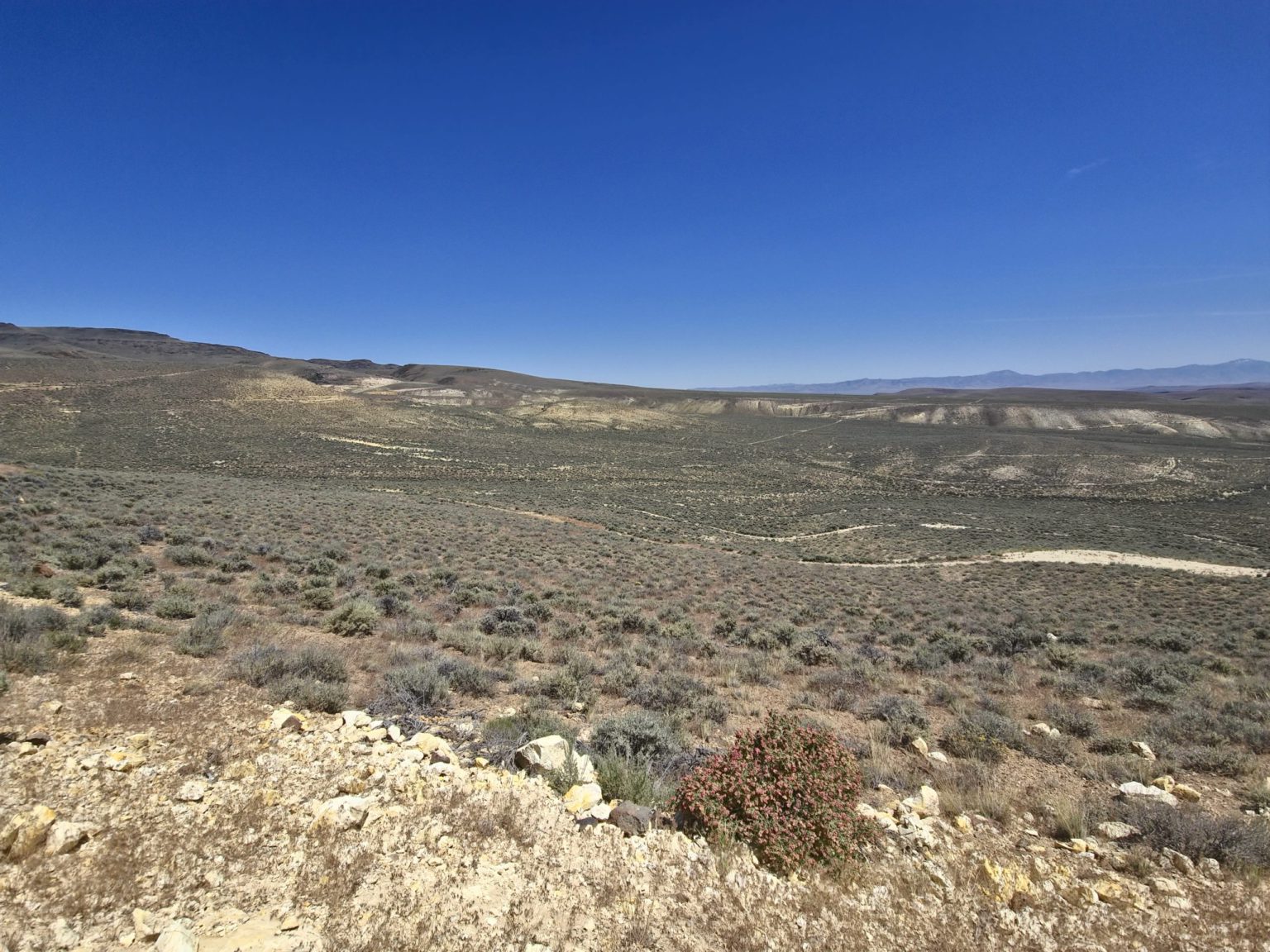 Eagle Nuclear advances Aurora uranium project with key environmental ...