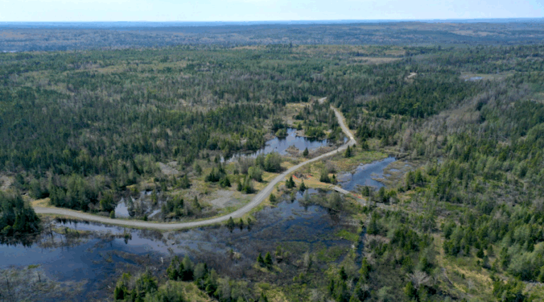 St Barbara's 100,000 oz Nova Scotia gold hub gets green light - MINING.COM