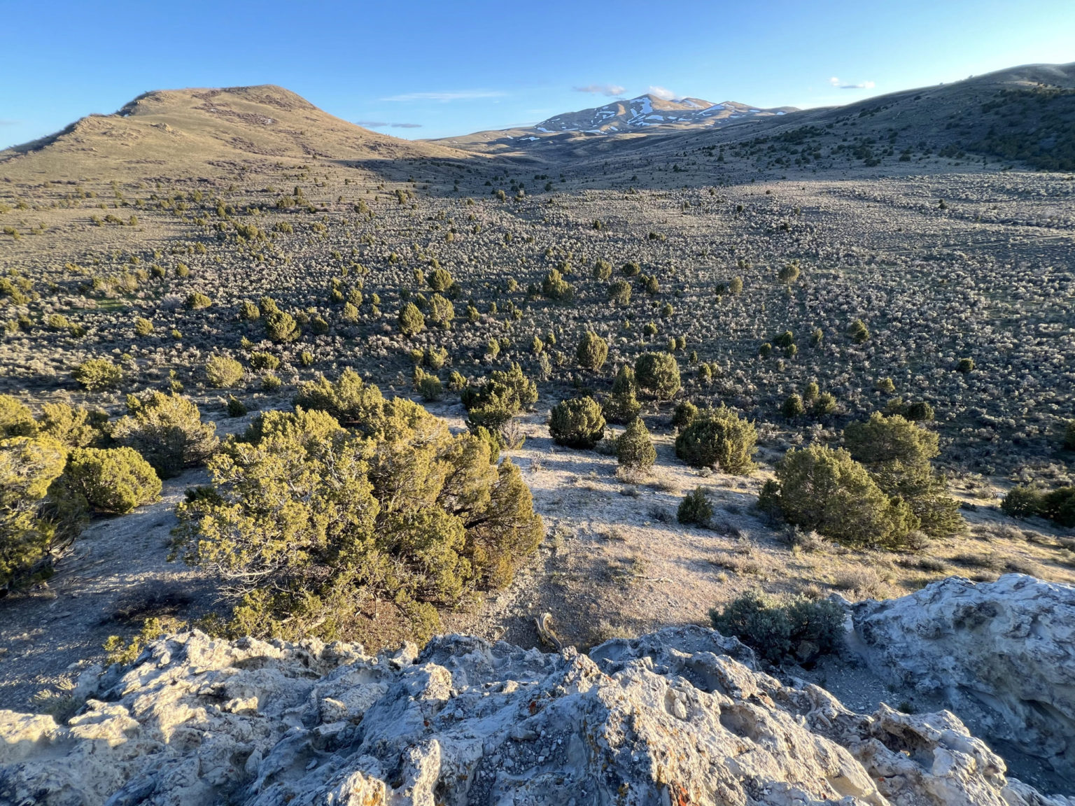 Surge Battery raises $21M for Nevada lithium project - MINING.COM