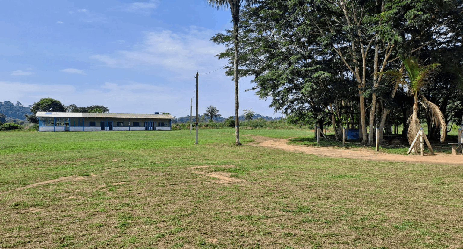 GoldMining PEA outlines $532M value, 10-year life for São Jorge project ...
